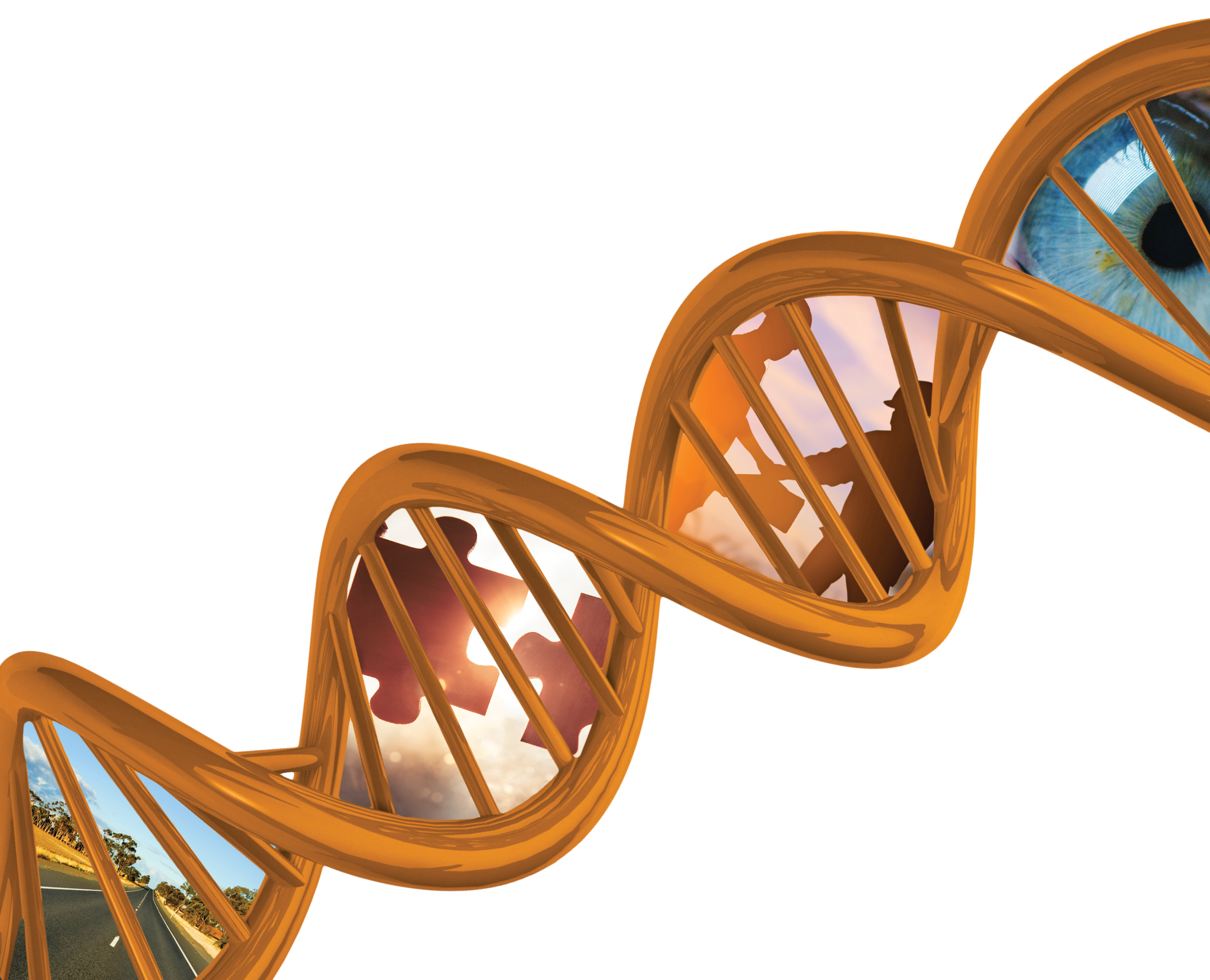 About Us | AusPac Ingredients