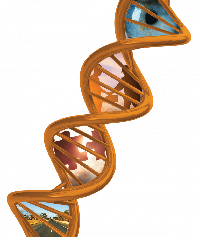 Home | AusPac Ingredients