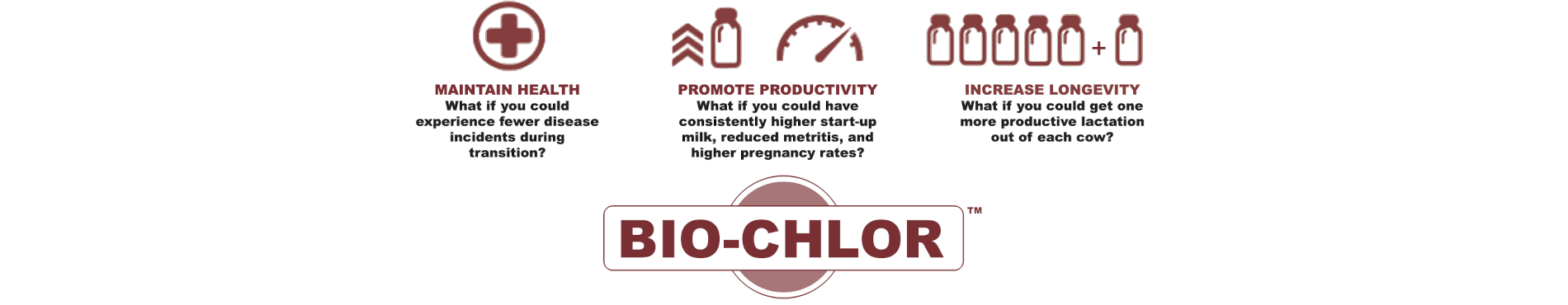 Transition Dairy – feeding the transition cow to achieve success ...